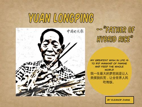 Book Creator | Yuan Longping - "Father of Hybrid Rice"