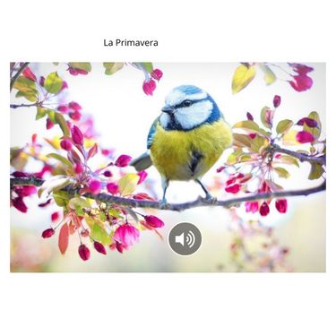 Book Creator | La Primavera