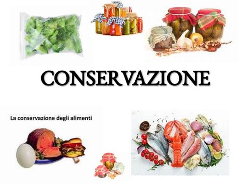 Book Creator | La Conservazione
