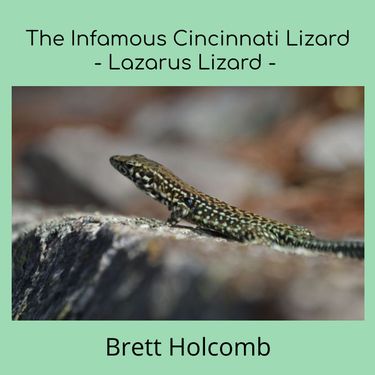 Book Creator | The Lazarus Lizard