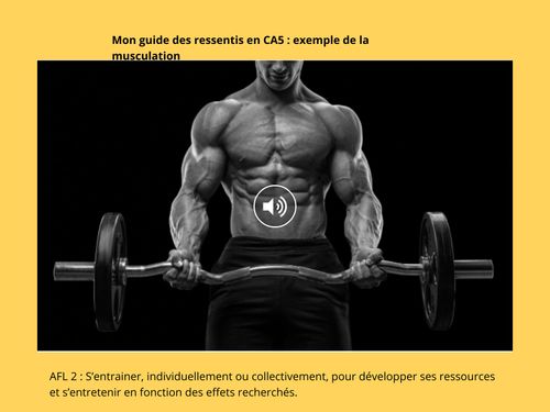 Book Creator | Guide des ressentis en musculation