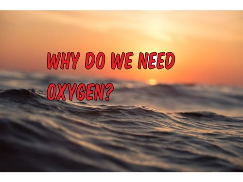 Book Creator | Why do we need oxygen?