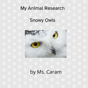 Book Creator | Snowy Owls