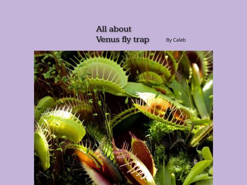 Book Creator | Venus fly traps