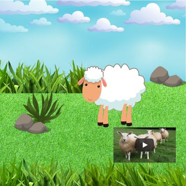 Book Creator | Suara Domba