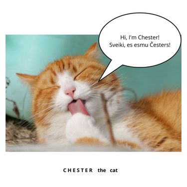 Book Creator | Chester