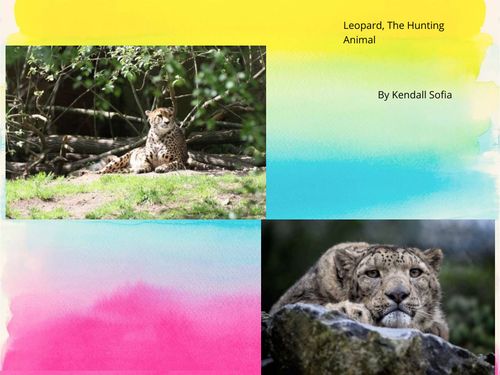 Book Creator | Leopard