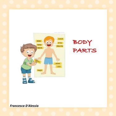 Book Creator | Body parts