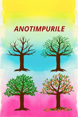 Book Creator | Anotimpurile