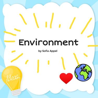 Book Creator | Environment