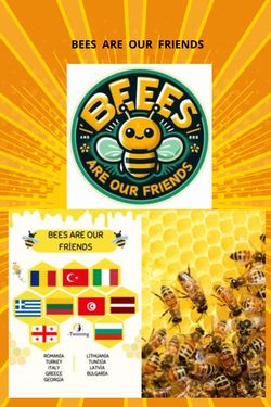 Book Creator | Bees are our friends