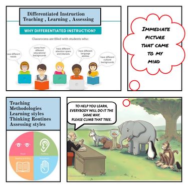 Book Creator | Differentiated Instructions