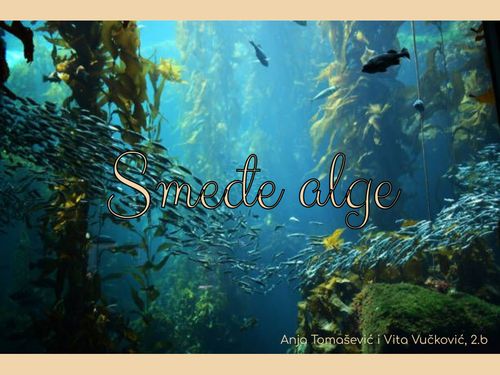 Book Creator | Smeđe alge