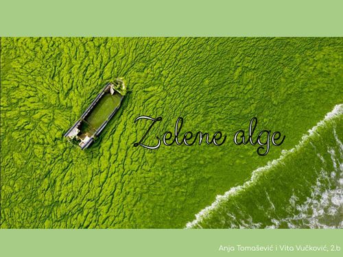 Book Creator | Zelene alge