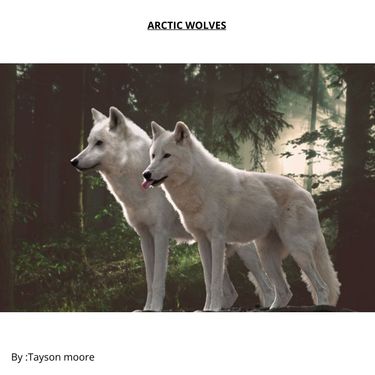 Book Creator | Arctic Wolves