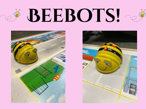 Book Creator | Bee Bots