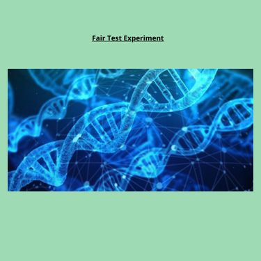 Book Creator | Fair Test Science Experiment