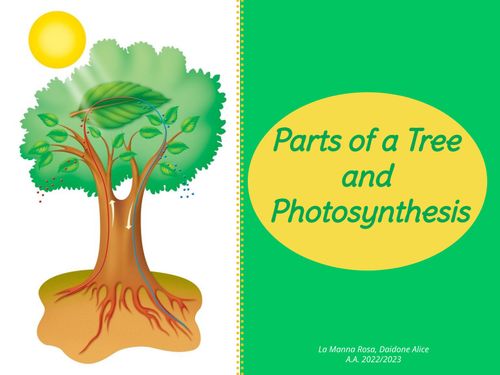 Book Creator | Photosynthesis