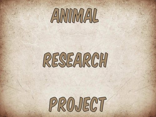 Book Creator | Animal Research Book