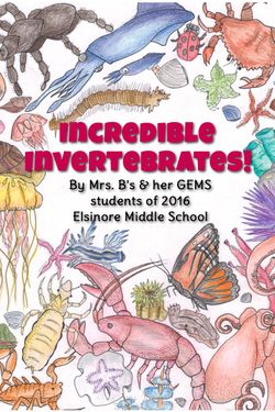 Book Creator | Amazing Invertebrates