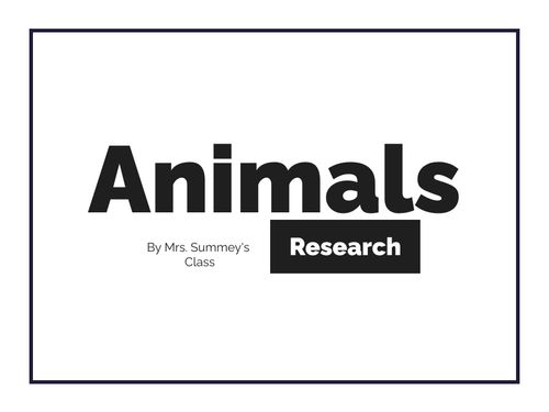 Book Creator | Animals Research
