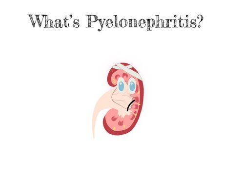 Book Creator | Pyelonephritis