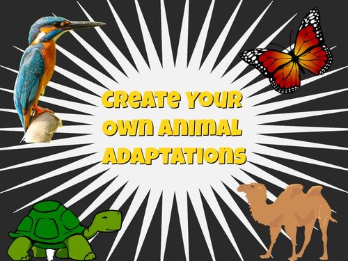 Book Creator | Animal Adaptations