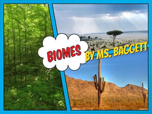 Book Creator | Biomes