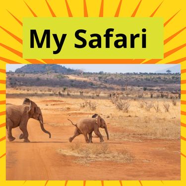 Book Creator | My safari