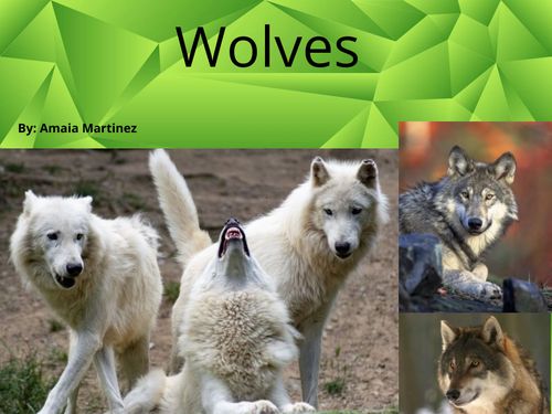 Book Creator | Wolves