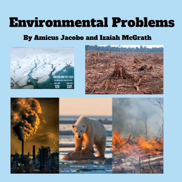 Book Creator | Environmental Problems