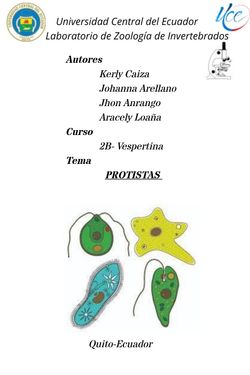 Book Creator | Protistas