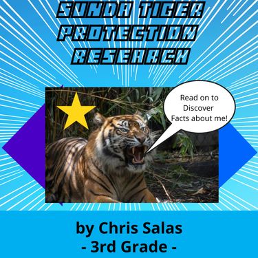Book Creator | Sunda Tiger Protection Research