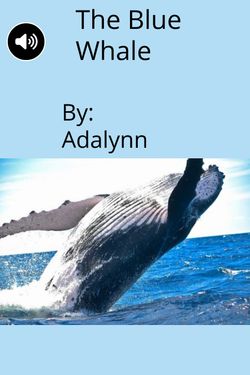 Book Creator | Blue Whale