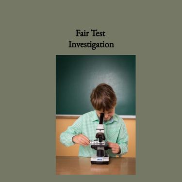 Book Creator | Fair Test Investigation