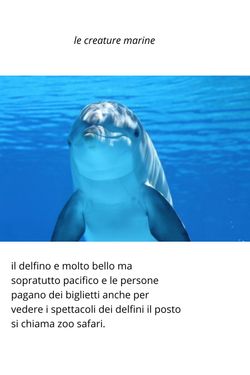 Book Creator | le creature marine