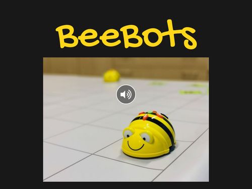 Book Creator | BeeBots
