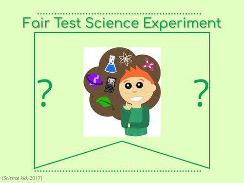 Book Creator | Fair Test Experiment book