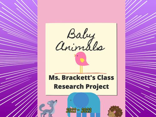 Book Creator | 2022- 2023 Baby Animals By Mrs. Brackett's Class