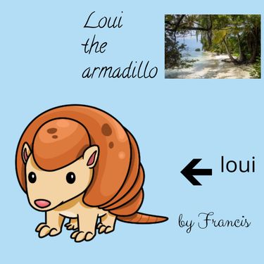 Book Creator | Loui the Armadillo