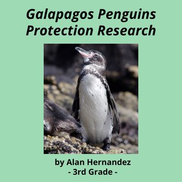 Book Creator | Galapagos Penguins Protection Research