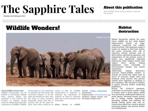 Book Creator | Newspaper