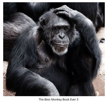 Book Creator | The Best Monkey Book Ever 3