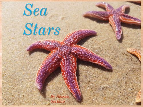 Book Creator | SEA STAR
