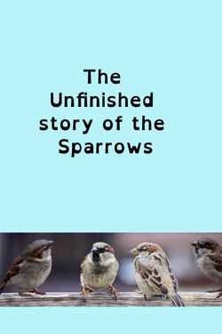 Book Creator | The Unfinished story of the sparrows