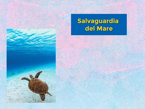 Book Creator | Il mare
