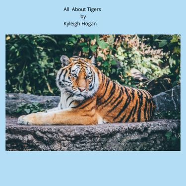 Book Creator | All About Tigers