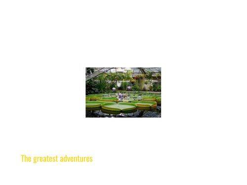 Book Creator | The greatest adventures