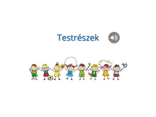 Book Creator | Testrészek