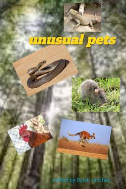 Book Creator | unusual pets
